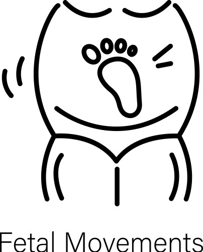 Fetal Vector Images (over 1,800)