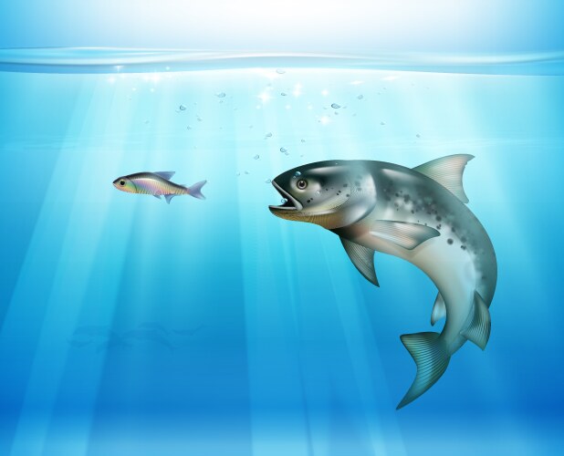 Jumping fish realistic concept Royalty Free Vector Image