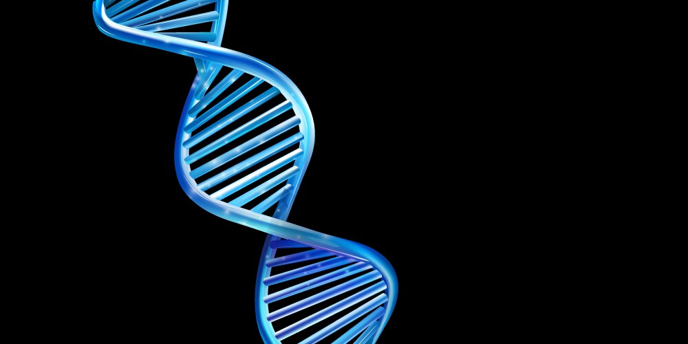 Bioinformatics Vector Images (over 710)