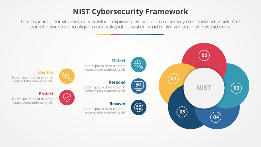 Nist cybersecurity framework infographic concept Vector Image