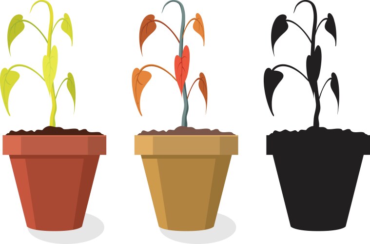 Dying Plants Vector Images (over 360)