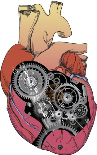 Closed heart Royalty Free Vector Image - VectorStock