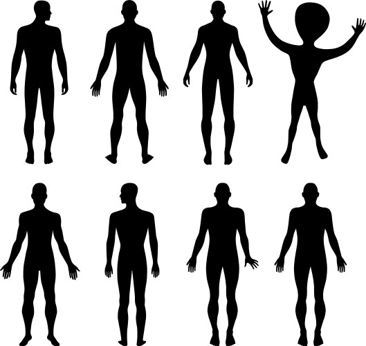 Human Body Front Back Silhouette Vector Images (over 690)