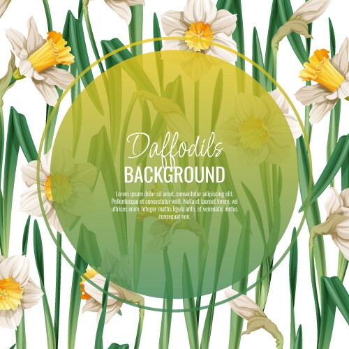 Daffodil Border Vector Images (over 750)