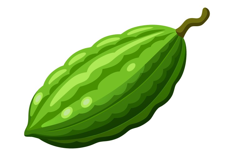 Bitter Gourd White Vector Images (over 350)