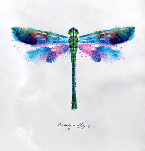 Dragonfly Vector Images (over 18,000)