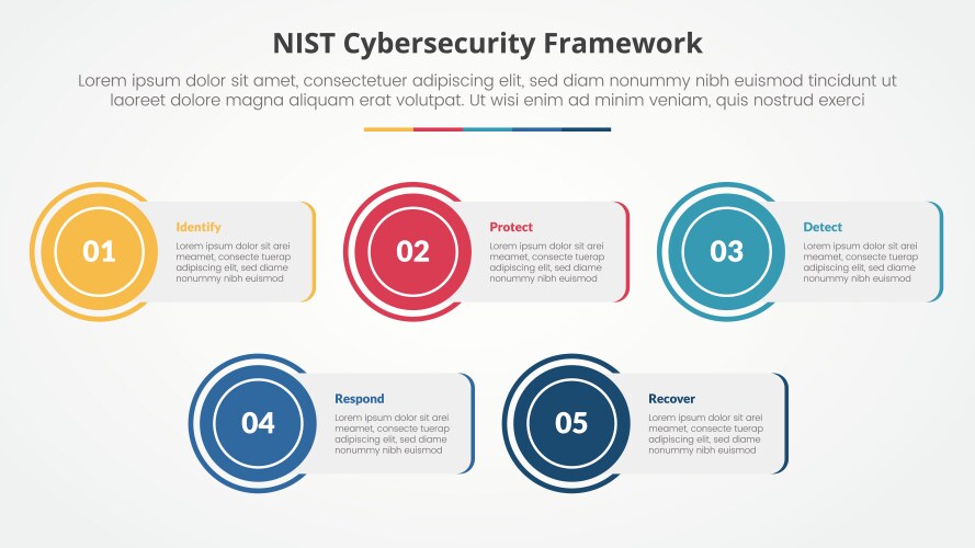 Nist cybersecurity framework infographic concept Vector Image