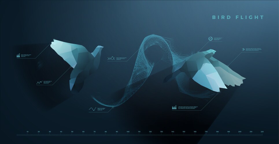 Flight Vector Images (over 310,000)