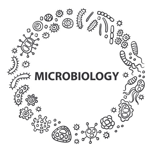 Microbiology logo bacterial microorganism Vector Image