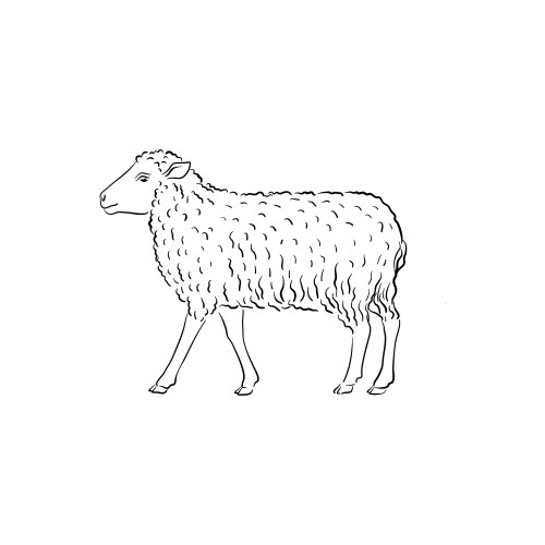 Sheep Outline Vector Images (over 8,100)