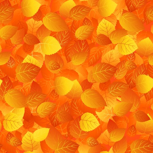 Autumn fall background with bright golden maple Vector Image
