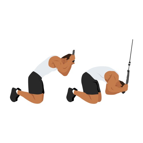 Crunches Vector Images (over 6,800)