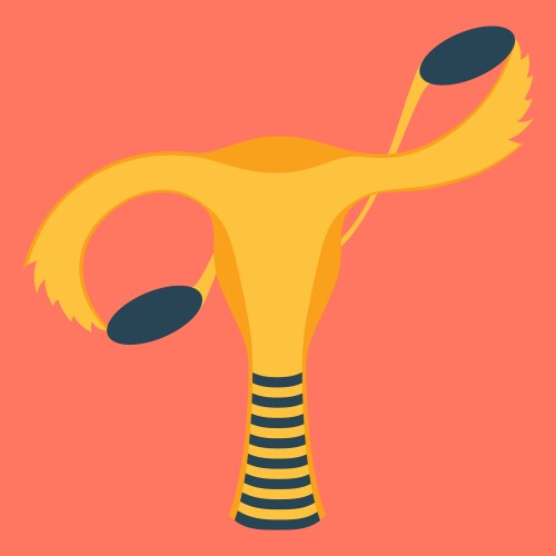 Picture of Female Reproductive System Vector Images (over 100)