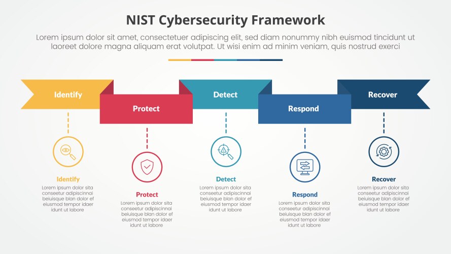 Nist cybersecurity framework infographic concept Vector Image