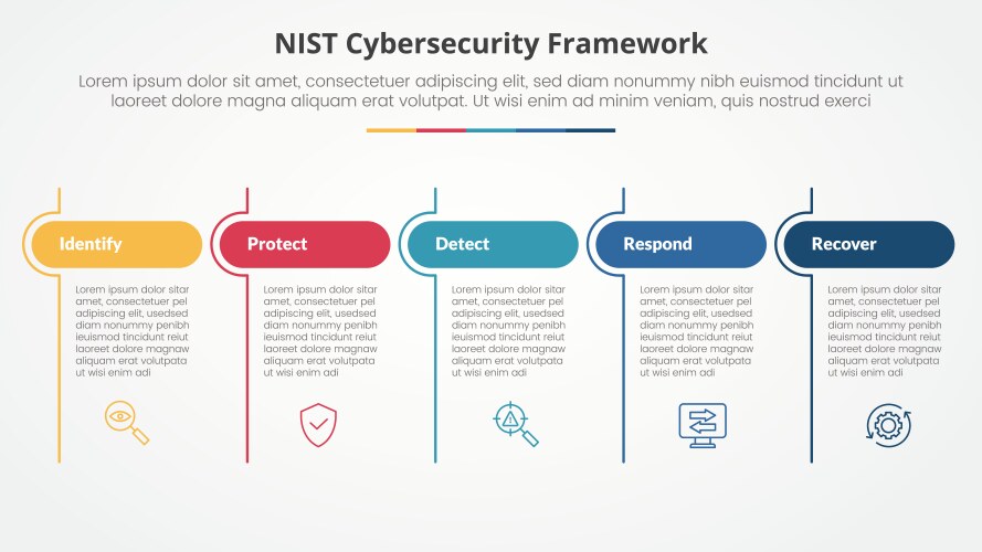 Nist cybersecurity framework infographic concept Vector Image