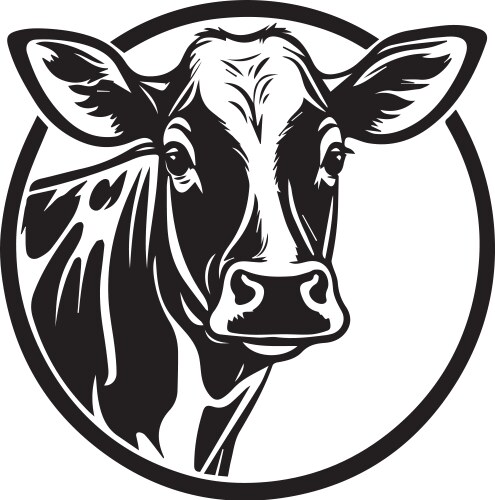 Angus Black Bull Vector Images (über 1,300)