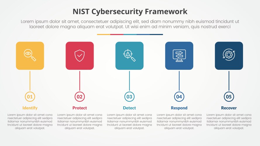 Nist cybersecurity framework infographic concept Vector Image