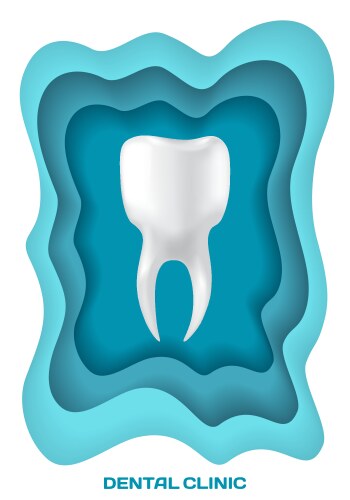 Human gum with healthy teeth and denture Vector Image