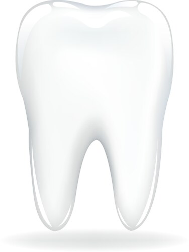 Tooth Vector Images (over 150,000)