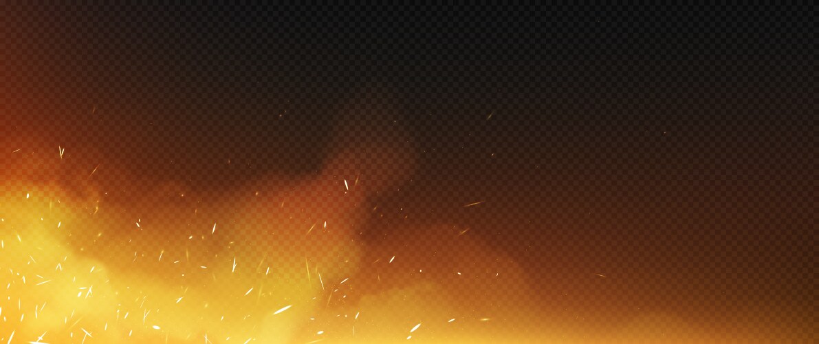 Smoke flying up sparks and fire particles Vector Image