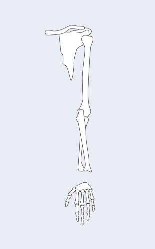 Drawing Radius Part Vector Images (68)