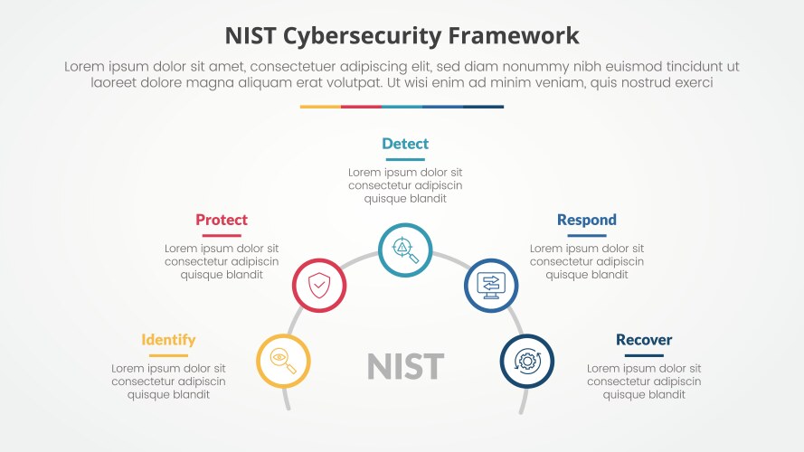 Nist cybersecurity framework infographic concept Vector Image