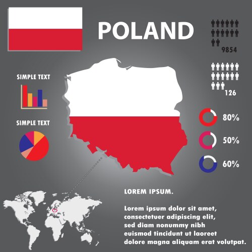 Country infographics template Royalty Free Vector Image