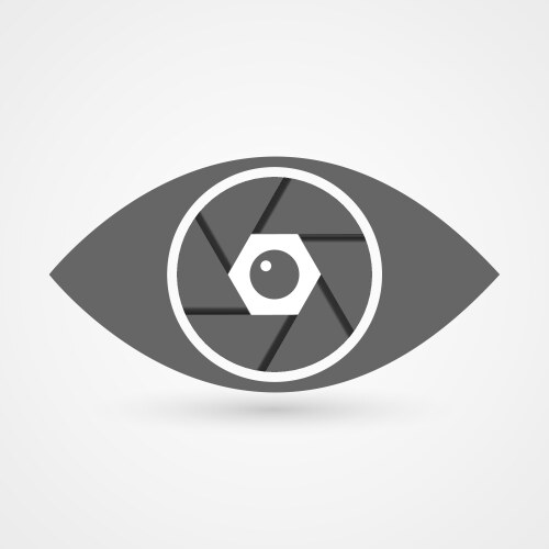 Eye science icon flat eyeball view Royalty Free Vector Image