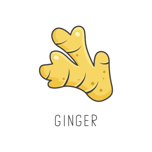 Ginger Line Drawing Vector Images (over 1,000)