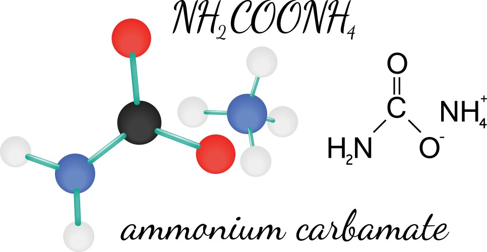 O2 oxygen molecule Royalty Free Vector Image - VectorStock
