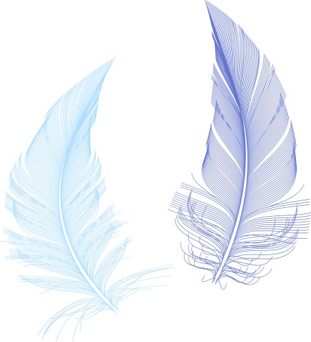 Single Feather Vector Images (over 9,700)