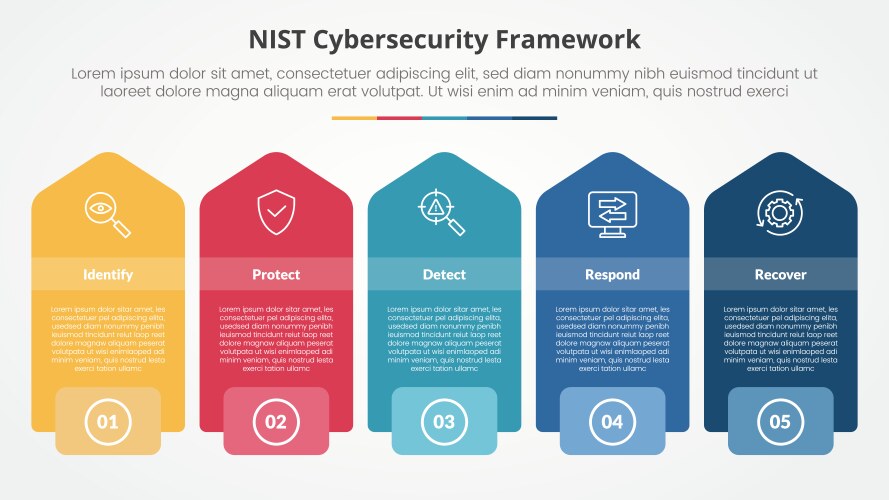 Nist cybersecurity framework infographic concept Vector Image
