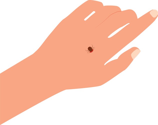 Bite Vector Images (over 43,000)