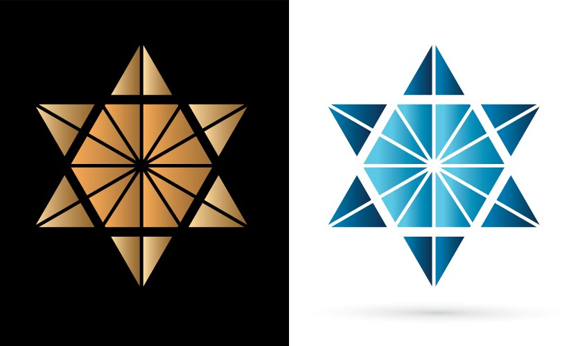 Israel star modern luxury graphic Royalty Free Vector Image