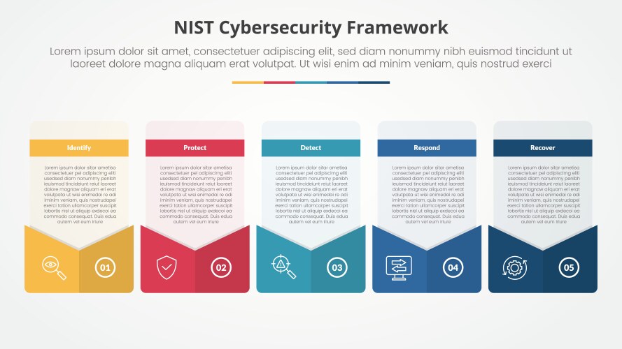 Nist cybersecurity framework infographic concept Vector Image
