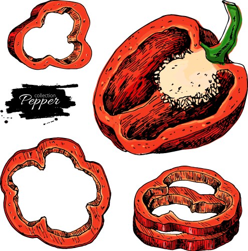 Capsicum Outline Vector Images (over 1,100)