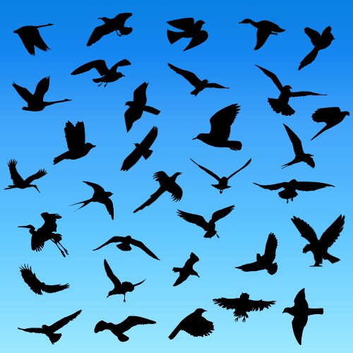 Flight Vector Images (over 310,000)