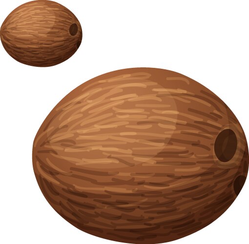 Coconut Cartoon Vector Images (over 17,000)