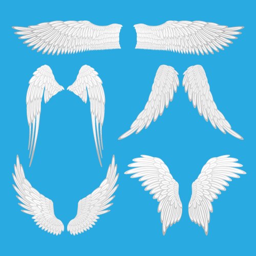 Eagle Outline Vector Images (over 13,000)