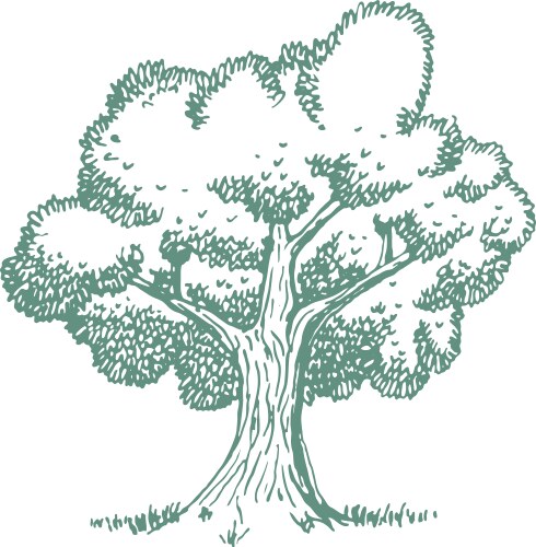 Oak Tree Vector Images (over 56,000)