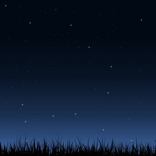 Night vision camera overlay Royalty Free Vector Image