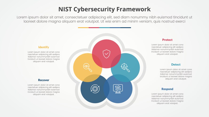 Nist cybersecurity framework infographic concept Vector Image