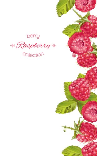 Vintage banner Royalty Free Vector Image - VectorStock