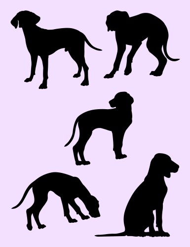 Dog Grooming Silhouette Vector Images (over 2,600)