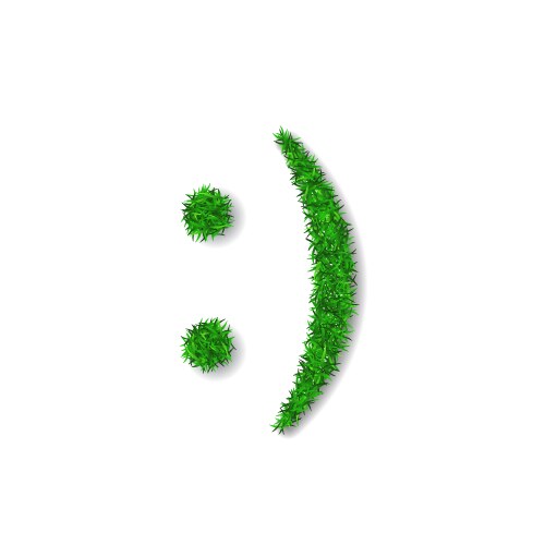 Green grass face smile smiley grassy icon Vector Image