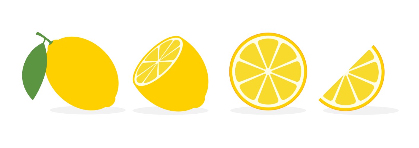 Lime slice green lemon Royalty Free Vector Image