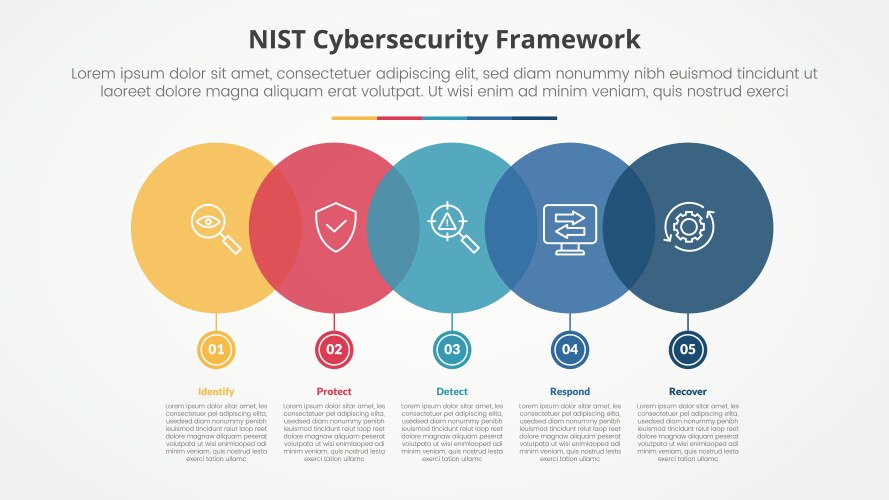 Nist cybersecurity framework infographic concept Vector Image
