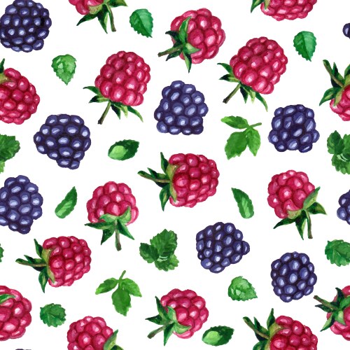 Raspberry pattern Royalty Free Vector Image - VectorStock