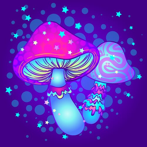 Magic mushrooms psychedelic hallucination Vector Image
