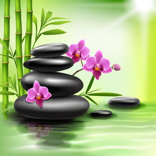 Spa zen stones and frame bamboo Royalty Free Vector Image